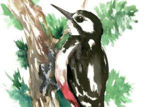 Çfarë është sindroma e qukapikut